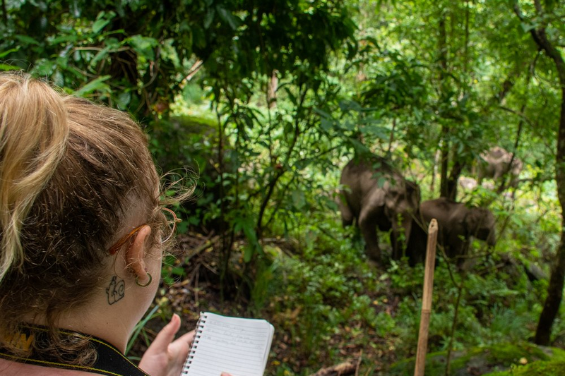 LIFE Elephant Heritage Area - Wildlife Heritage Areas
