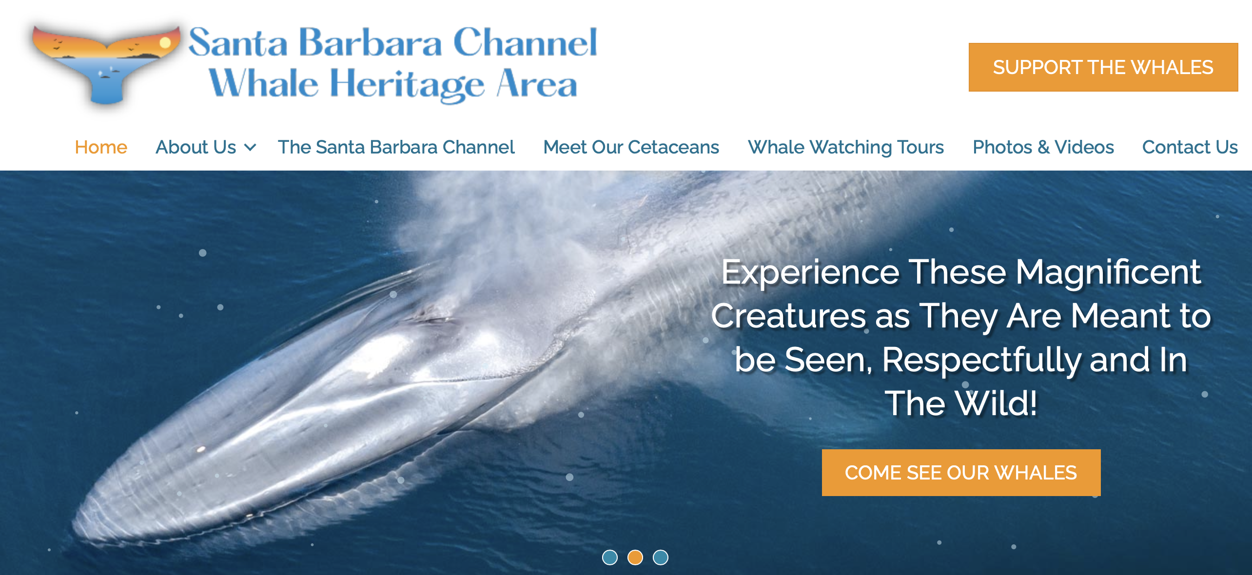 Santa Barbara Channel Whale Heritage Area - Wildlife Heritage Areas