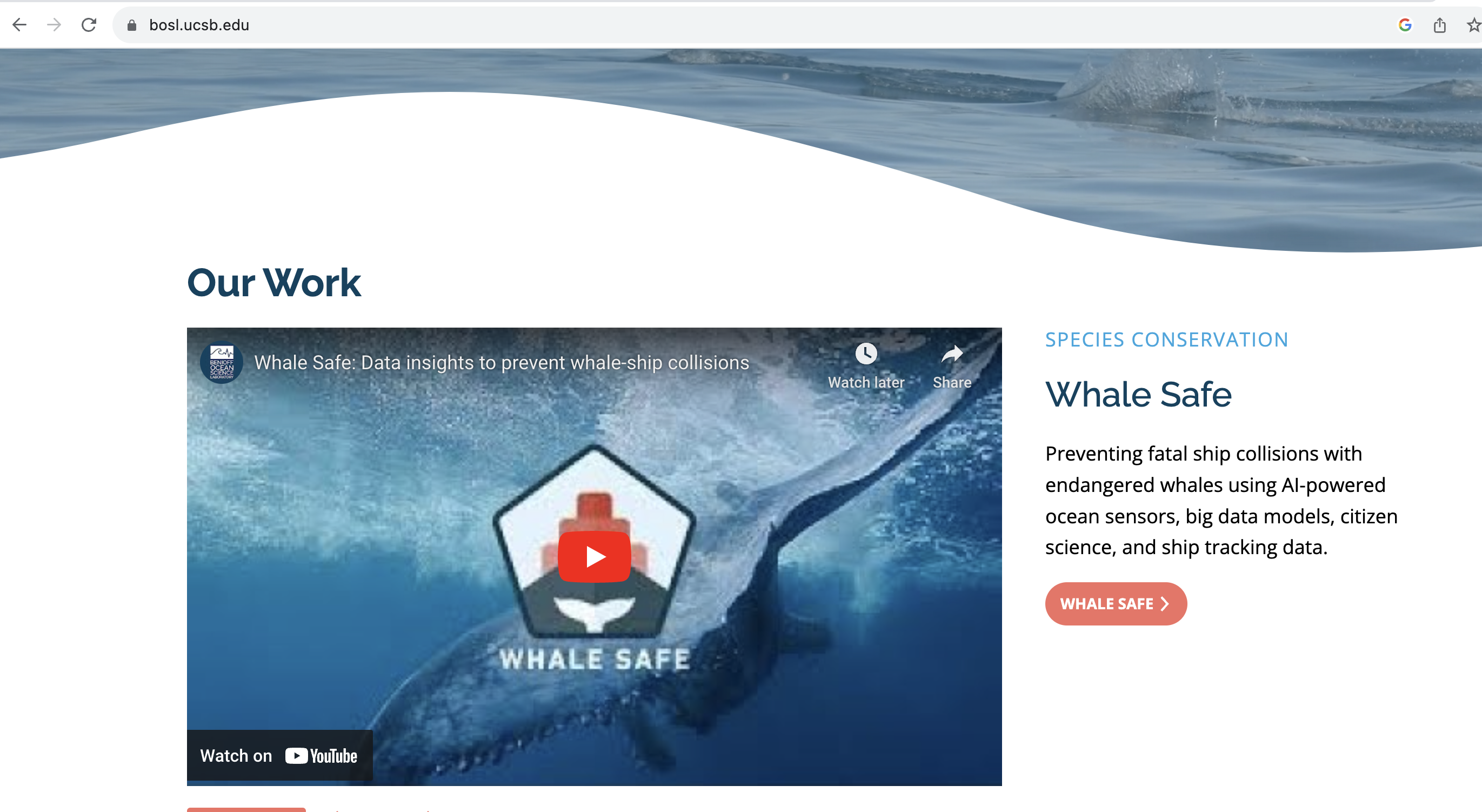 Santa Barbara Channel Whale Heritage Area - Wildlife Heritage Areas